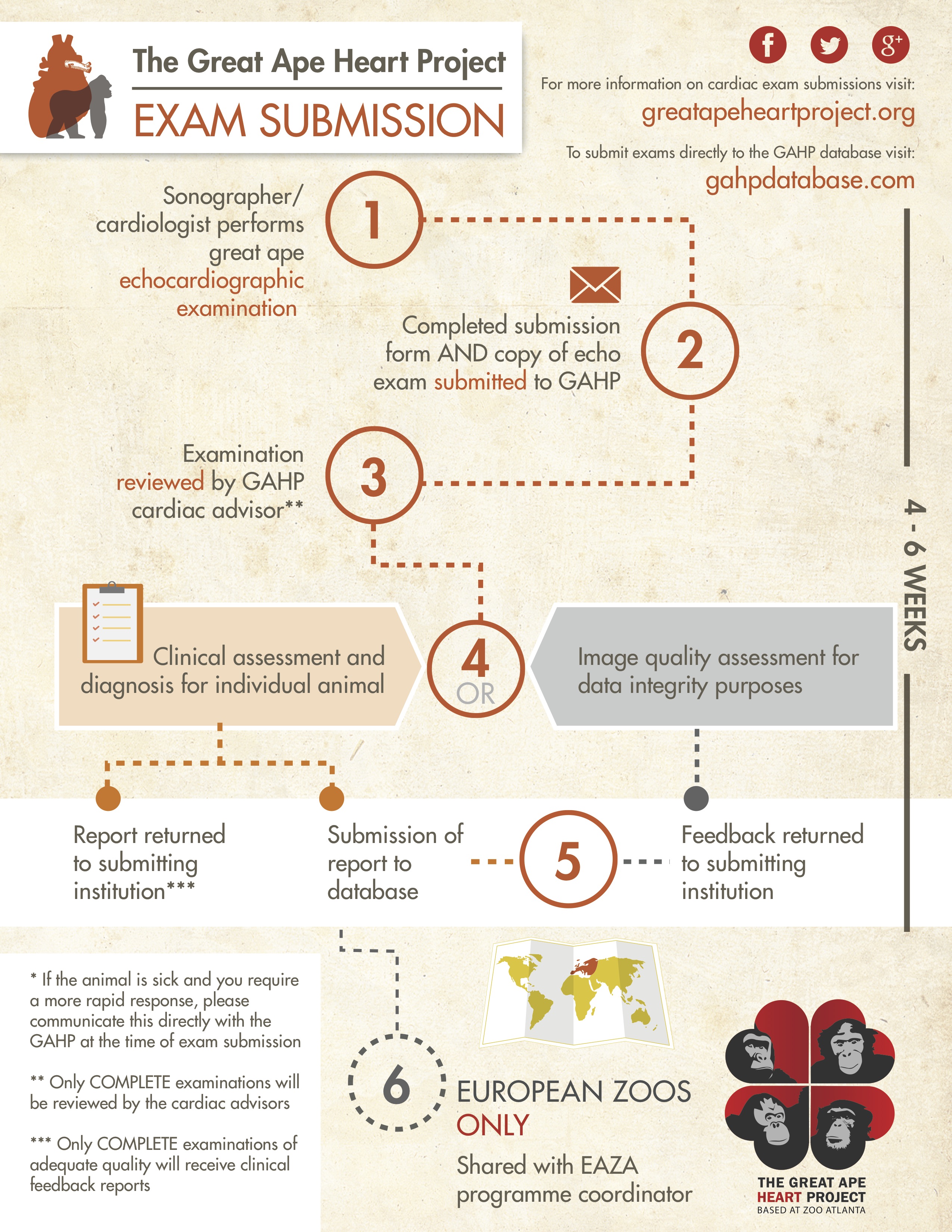 Submitting Cardiac Exams