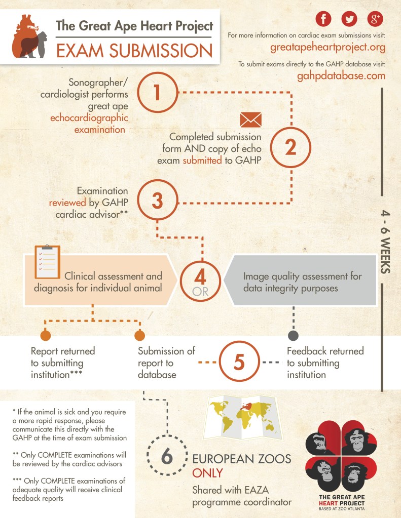 Submitting Cardiac Exams